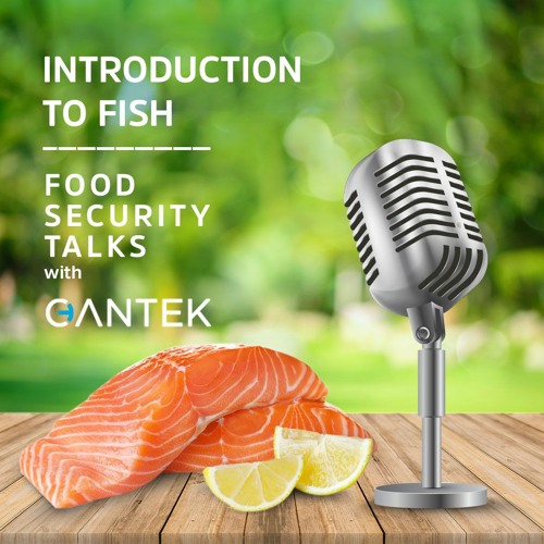 Stream Introduction to Fish by Food Security Talks with Cantek | Listen ...