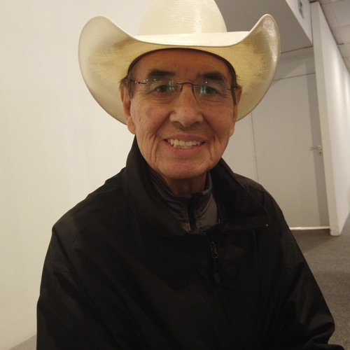 Stream Grand Chief Wilton Littlechild on The International Decade Of ...