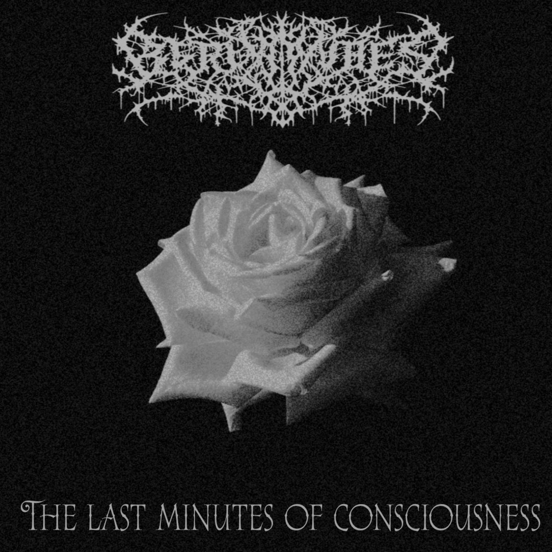 Stream Where the Corpses Were Rotting by Crushed soul | Listen online ...