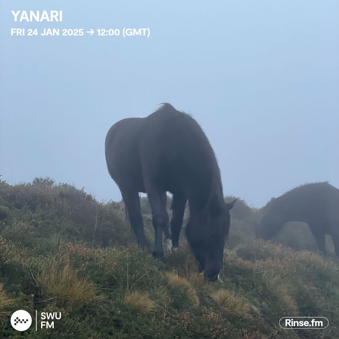 Stream Yanari - 24 January 2025 by SWU.FM | Listen online for free on SoundCloud