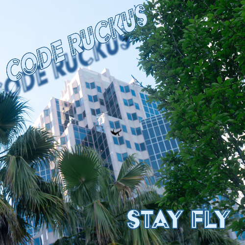 Stream Stay Fly by Code Ruckus | Listen online for free on SoundCloud