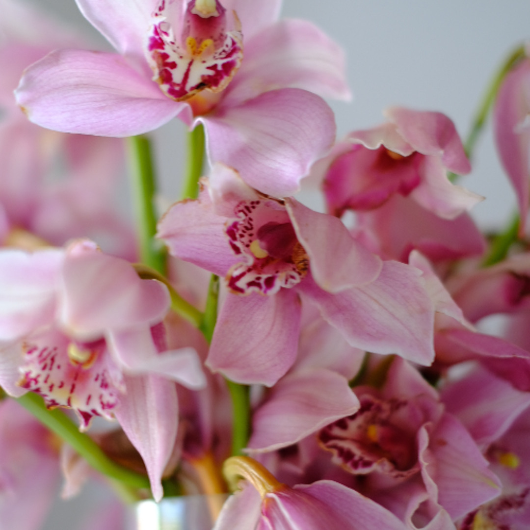 Stream deep core by balan | Listen online for free on SoundCloud