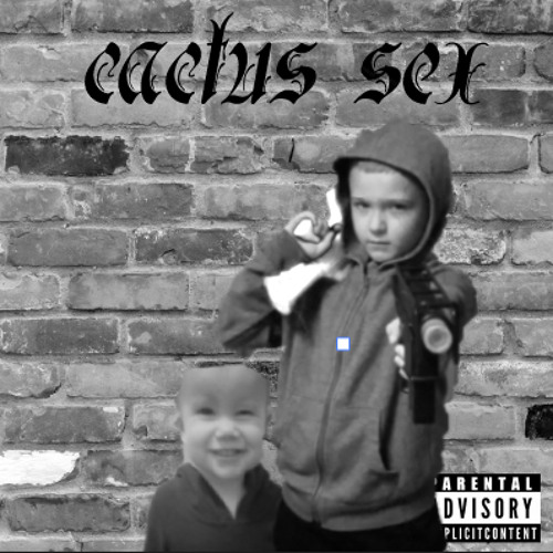 Stream Cactus Sex By Lil Fatty Listen Online For Free On Soundcloud