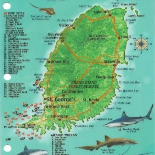 Stream episode ⇲DOWNLOAD PDF Grenada Dive Map & Reef Creatures Guide ...