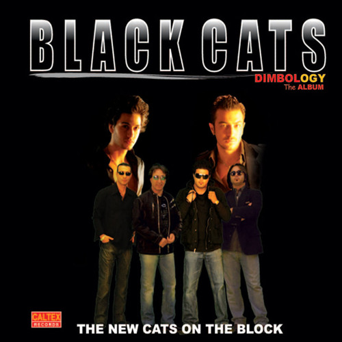 Stream Boro (feat. Sami Beigi) by Black Cats | Listen online for free ...