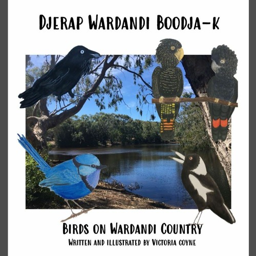 Stream Djerap Wardandi Boodja-k by Koolbardi Creating - Capturing ...