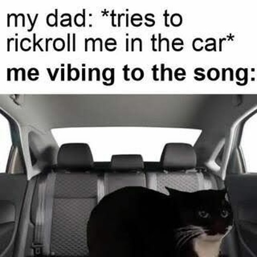 Stream Maxwell cat theme phonk by Valskzrt | Listen online for free on ...