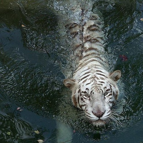 Stream burn outro v2 by komarr* | Listen online for free on SoundCloud