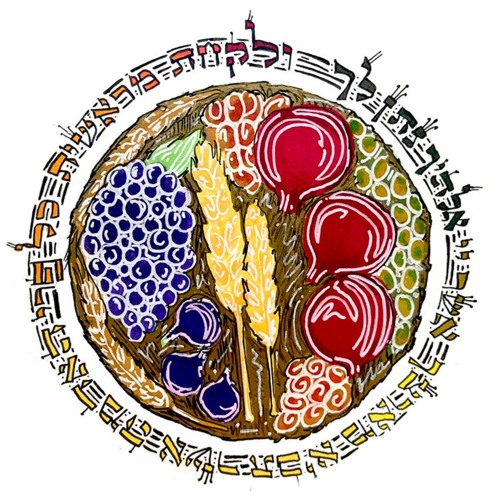 Stream Parsha Talk Ki Tavo 5784 2024 by Kol Ramah Studios | Listen ...