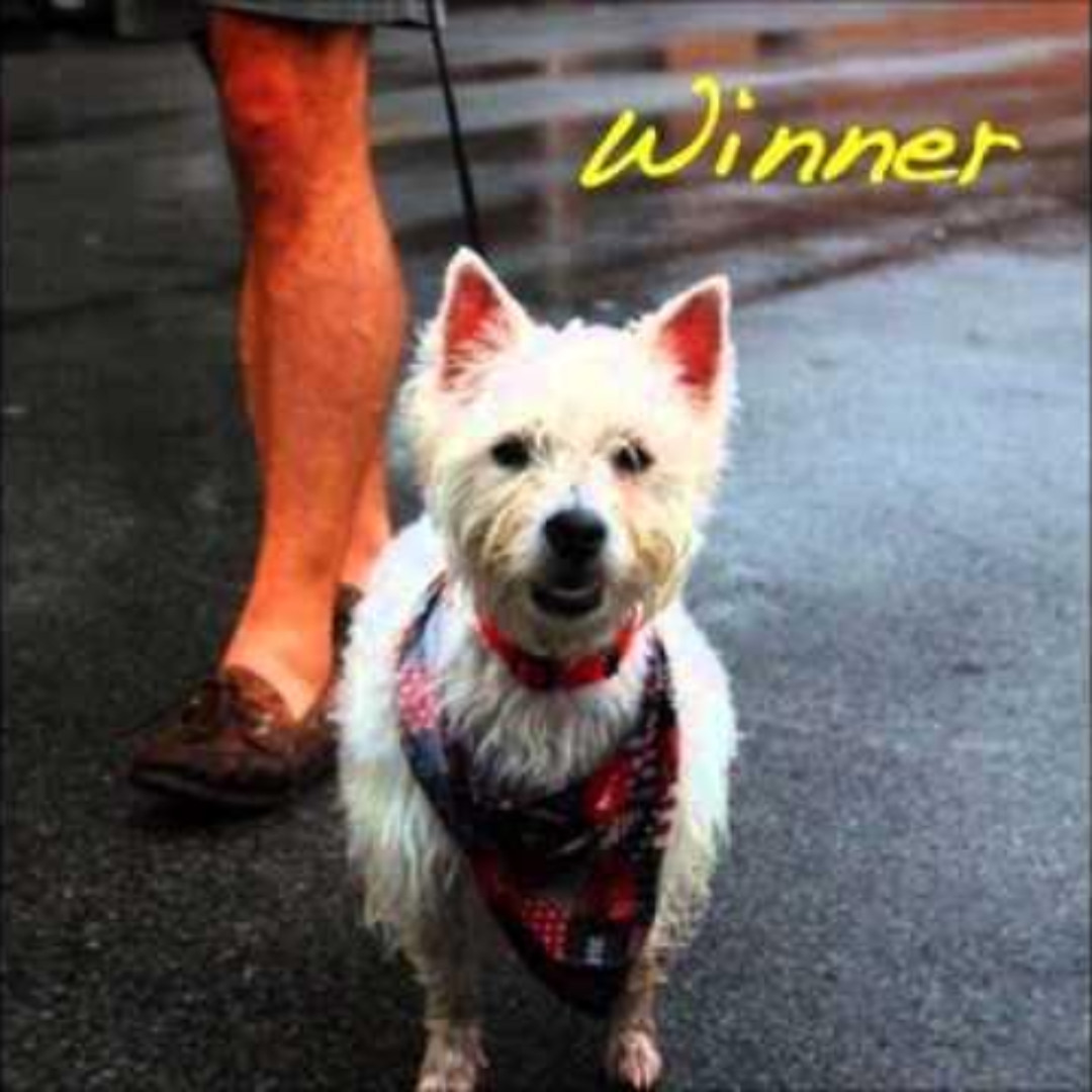 Stream Alex G Sometimes "I just wanna be happy" (Loop) by lockedluck0 ...