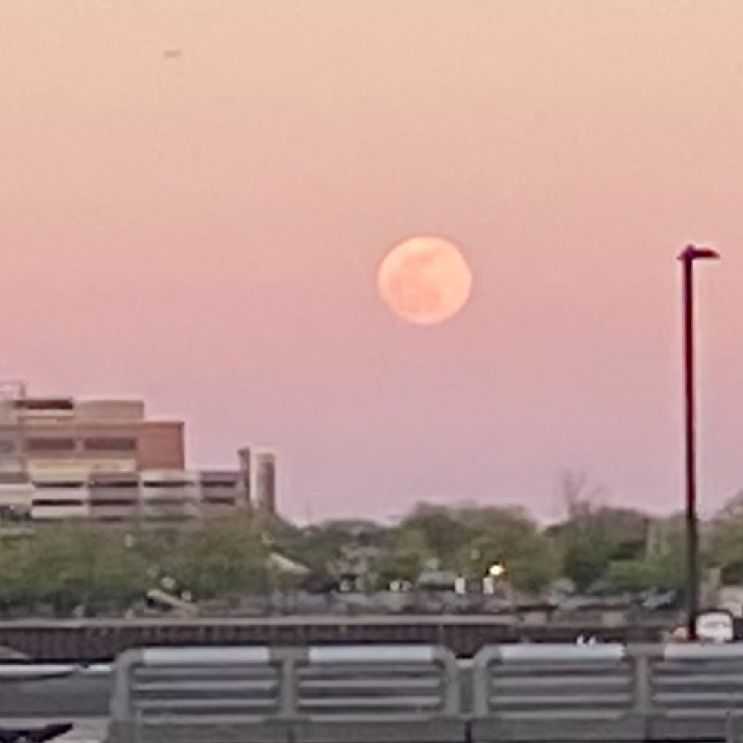 Stream FANTASIZE (ERICDOA COVER) by holidaykiss | Listen online for ...