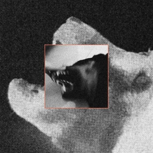 Stream Killer Kay | Listen to SNAKE TALES playlist online for free on ...