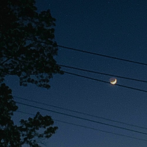 Stream moon song (w/ fiona slattery) by Dylan B-Schulz | Listen online ...