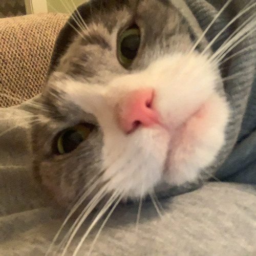 Stream PACK ft. Funeral [+ Elxnce] by trev mas | Listen online for free ...