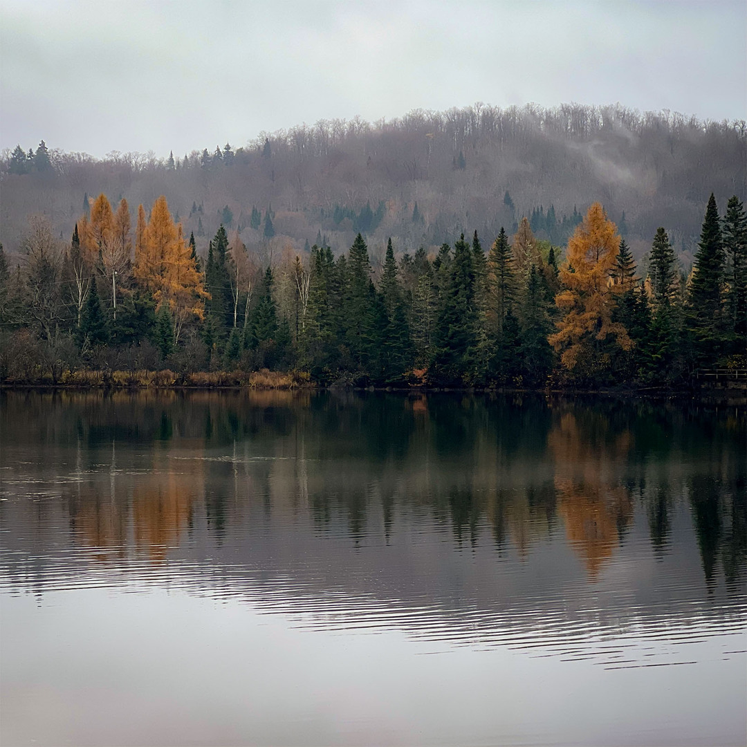 Stream Mark Slee - Automne: Horizon [November 2023] by Mark Slee ...