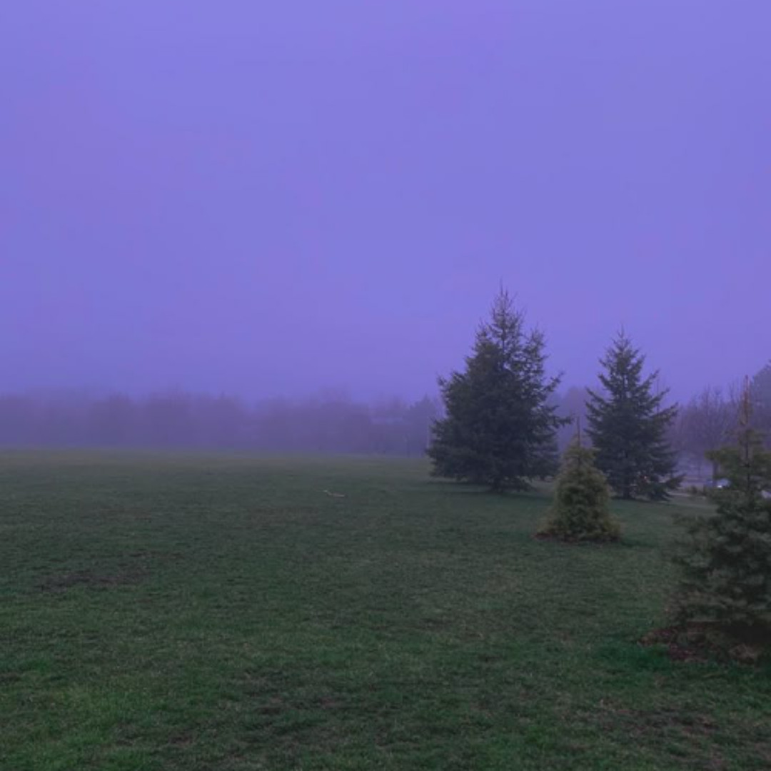 Stream anything (cover) by marionette | Listen online for free on ...