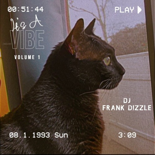 Stream It's A Vibe Volume 1 by DJ Frank Dizzle | Listen online for free ...