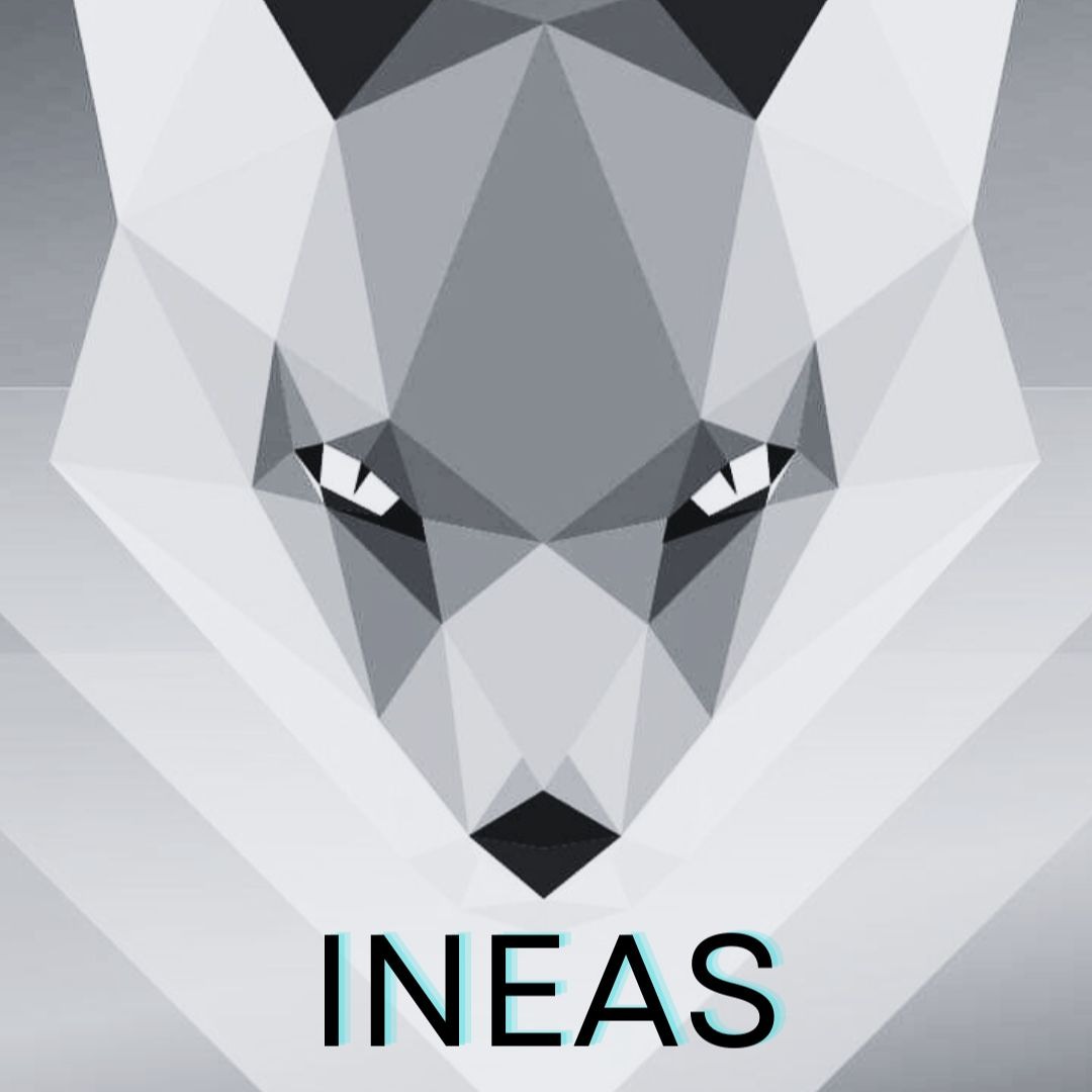 Stream episode INEAS @ Beestenbos 2024 by Ineas Wagemans podcast ...