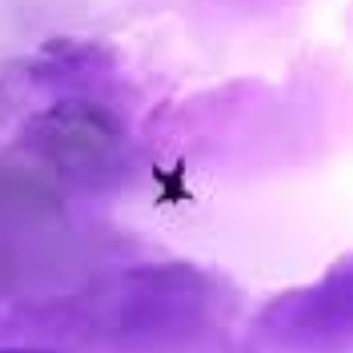 Stream D_ve Blunts Free$tyle by SHAGGY DOGG | Listen online for free on ...