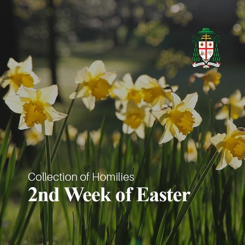 Stream ArchKL | Listen to 2nd Week of Easter playlist online for free ...