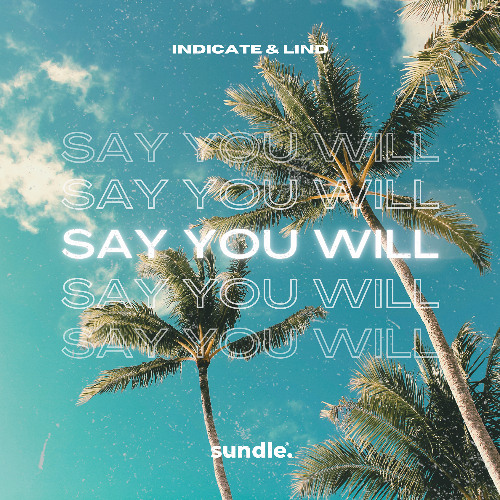 Stream Indicate & Lind - Say You Will by Sundle Records | Listen online ...