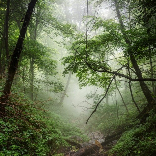 Stream KZXV - PRISON SONG MASK OFF by Ląʑყ | Listen online for free on ...