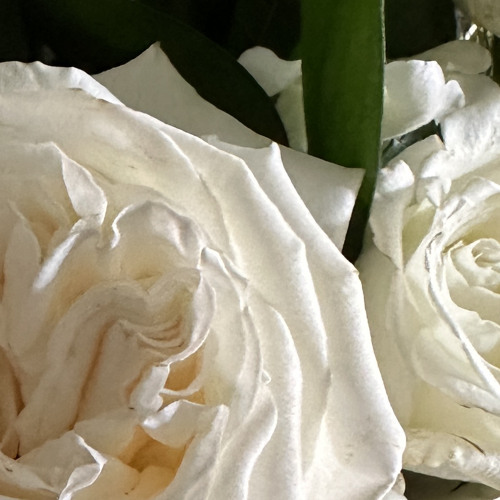 Stream get to know me- (demo) by JBOB | Listen online for free on ...