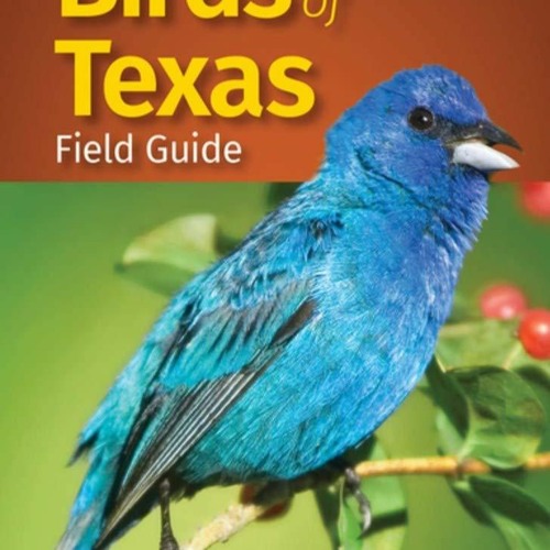 Stream Download Birds of Texas Field Guide (Bird Identification Guides ...