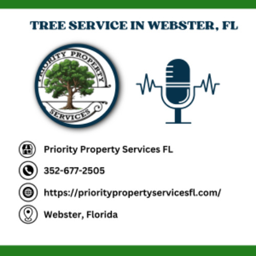 Stream How Much Does It Cost to Remove a Tree in Webster, FL by Priority Property Services ...