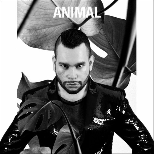 Stream Rogelio Bailleres Gil — ANIMAL(Live DJ Set) by VATO Records ...