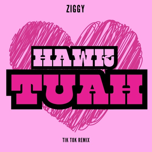 Stream Hawk Tuah (Tik Tok Remix) by ZIGGY | Listen online for free on ...
