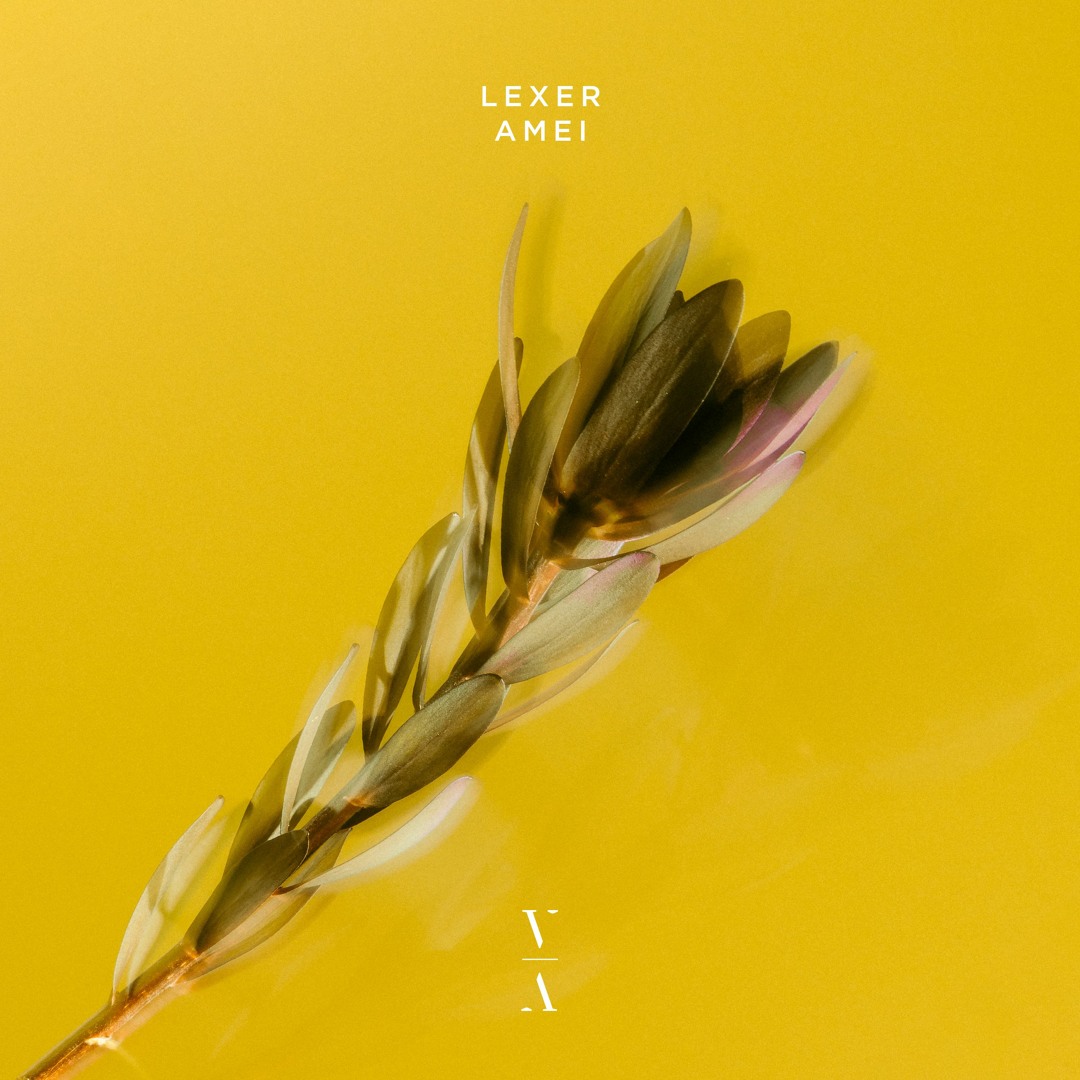 Stream Lexer - Amei by This Never Happened | Listen online for free on ...