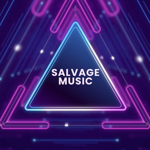 Stream Melodic Techno Music Mix 2022 by Salvage Music | Listen online for free on SoundCloud