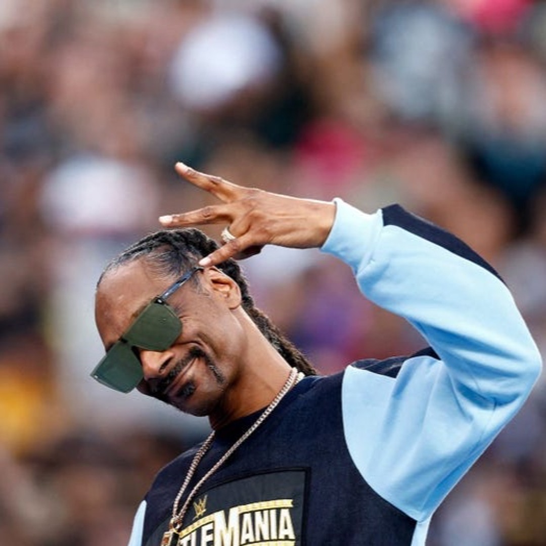 Stream Snoop Dogg Ft. Pharrell Williams - Drop It Like Is Hot (Vibe ...