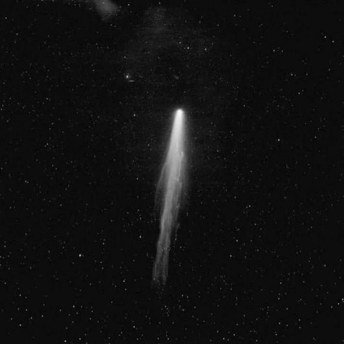 Stream Walras - Lechuza by walras | Listen online for free on SoundCloud