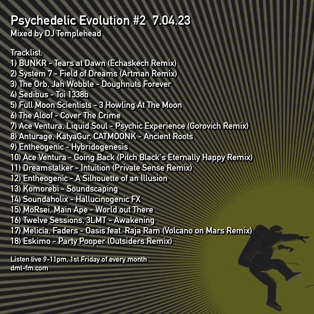 Stream Psychedelic Evolution #2 by DJ Templehead | Listen online for ...