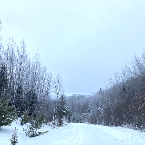 Stream Trail Time 3-14-2025 by WTIP Community Radio | Listen online for free on SoundCloud