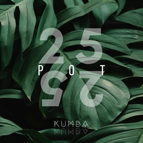 POT 25 - Listen to music