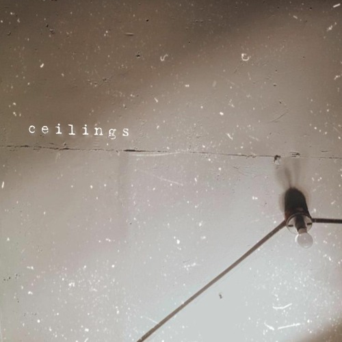 Stream ceilings - lizzy mcalpine cover by debbawaan | Listen online for ...