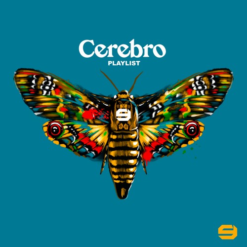 Stream Beauty Of It All feat. Ahji by Storm9000 | Listen online for ...