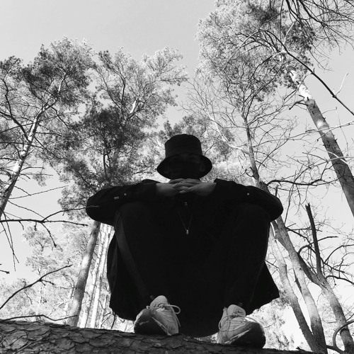 Stream Baksio | Listen to Kurka Chmurka Ferdydurka playlist online for ...