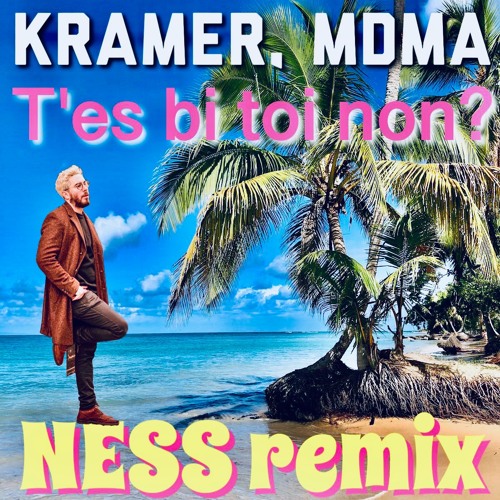 Stream T'es bi toi non? (Ness bi friendly remix on the beach) by DJ ...