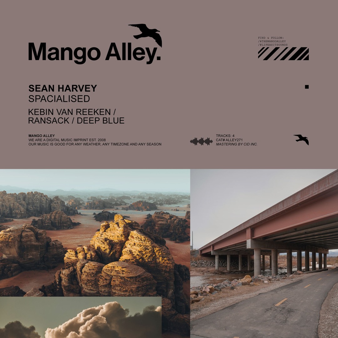 Stream SEAN HARVEY Spacialised (Kebin Van Reeken Remix) by Mango Alley ...