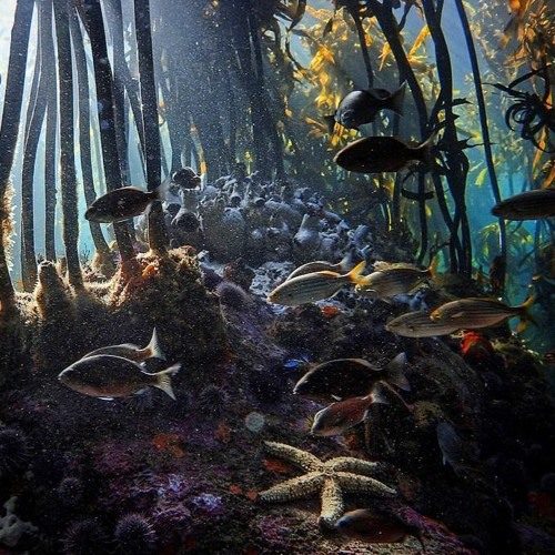 Stream Goodbye And Farewell (Original) by Riley Christensen | Listen ...