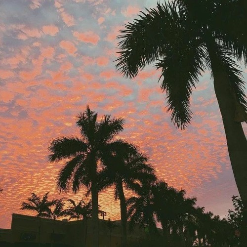 Stream Alvedon - Retire (Final) by ColbyTMW | Listen online for free on ...