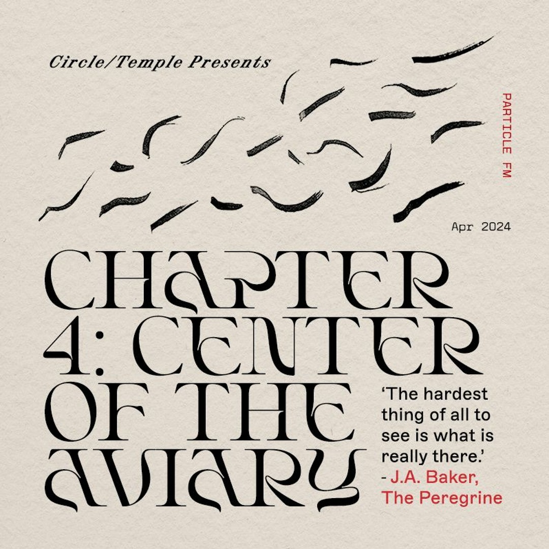 Stream Circle Temple w/ Dom Cooper (Chapter 4: Center of the Aviary ...