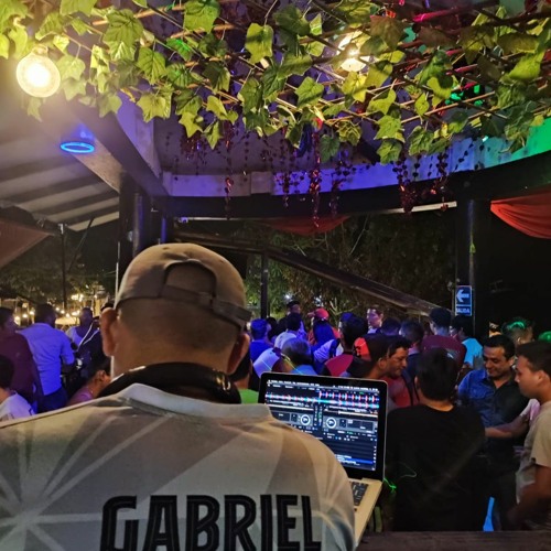 Stream MIX DISCO VARIADO 2023 BY GABRIEL by DJ GABRIEL | Listen online ...