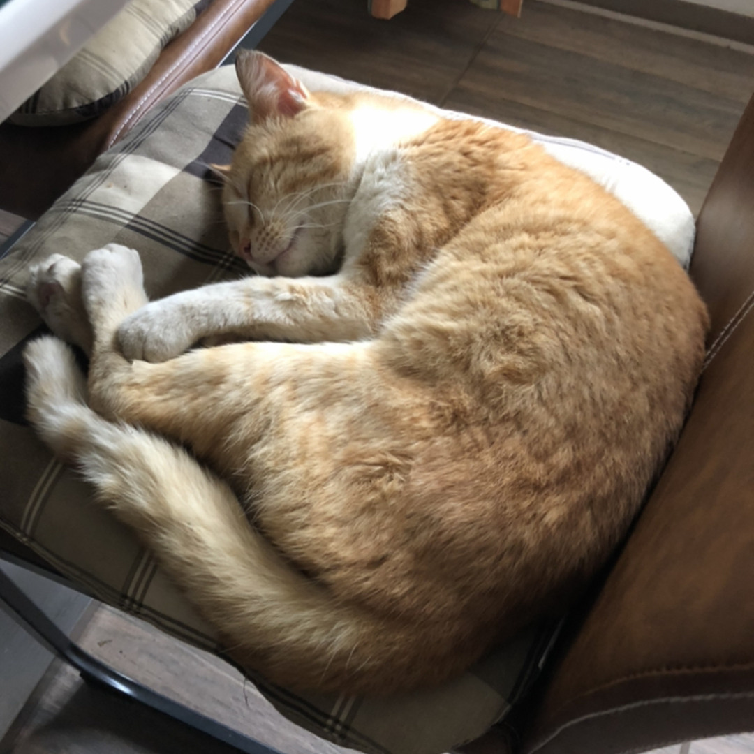 Stream cel svet narazen (kai virtual, nevem, nomark by aseben | Listen ...