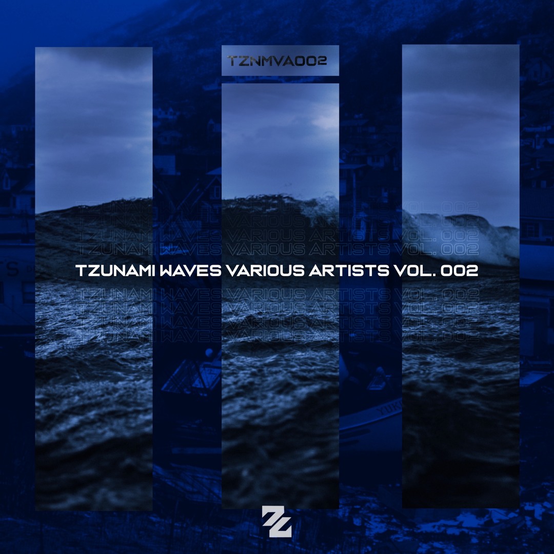 Stream Tzunami | Listen to TZNMVA002 Tzunami Waves Various Artists VOL.2. playlist online for ...