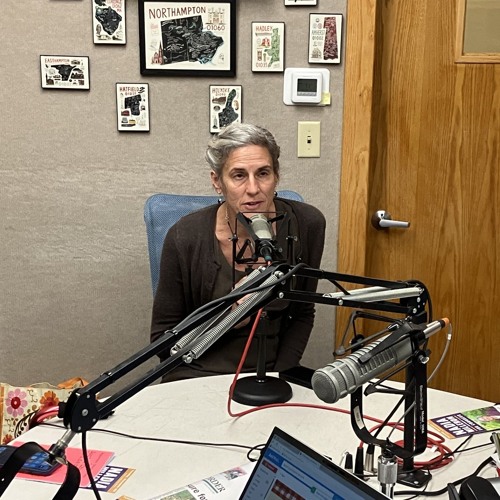 Stream Candidate Nadia Milleron: her fight against Richie Neal for the ...